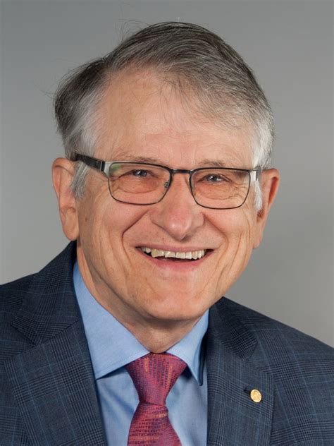 自由电子气的其它性质 知乎