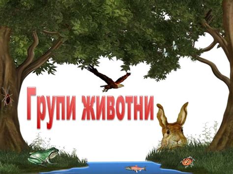Групи животни 1 клас Pptx