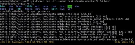Quản Trị Docker Trên Ubuntu 24 04 Từ A đến Z Hướng Dẫn Chi Tiết Luu Ho Phuong Blog