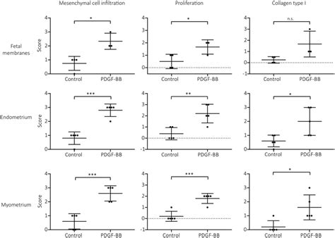 Semiquantitative Scoring Of Healing In The Fetal Membranes