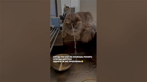 ПОДПИСЫВАЙСЯ🪄И читай описание🙌🏻 психология осознанность ченнелинг любовь творец духовность