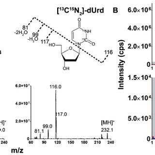 Optimized LC MS MS Conditions Ensure Method Specificity A MS MS Download Scientific Diagram