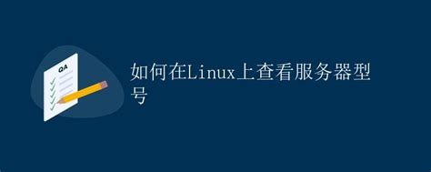 如何在Linux上查看服务器型号 极客笔记