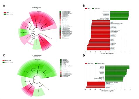 Biomarker Analysis Of The Gut Microbiota Community N 8group A Download Scientific