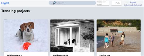 Github Cch 88lagalt Frontend A Web Application That Allows People