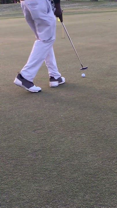 Golf Putter For Fun Ping Youtube