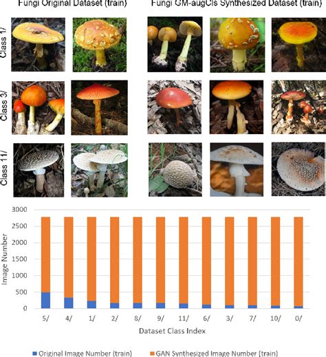 figure 1 from structural similarity when to use deep generative models on imbalanced image