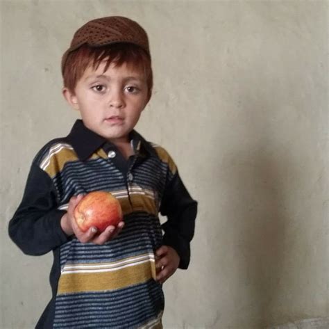 جمیل ماشوم جمیل ماشوم