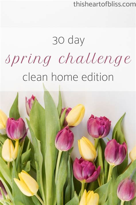 30 Day Spring Cleaning Challenge Clean Home Edition This Heart Of Bliss Spring Cleaning
