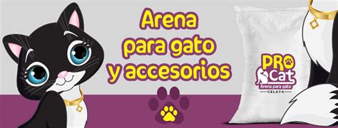 КотоБюро коворкинг котокафе антикафе площадка для мероприятий Added A New Photo — In Sydney