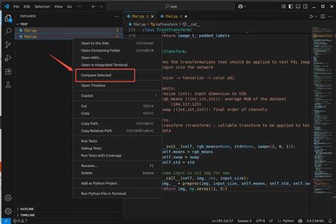 Vscode对比两个代码间差异vscode 代码对比 Csdn博客