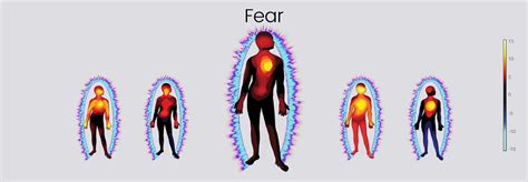 How The Brain Reacts When We Feel Fear And Prepares For Fight Or Flight