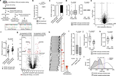 Multiplexed Scrrbs Integration With Single Cell Transcriptomes And
