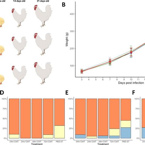 Alpha Diversity Measures Comparing Timing Effects On Microbiome Download Scientific Diagram