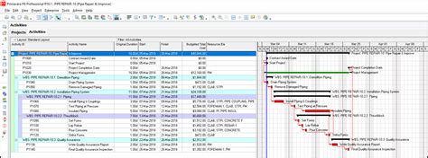 How To Display Line Numbers In Primavera P6 Ten Six