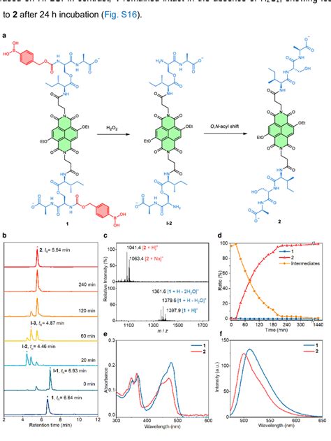 Generation Of 2 By H2O2 Induced Conversion Of 1 A Reaction Scheme Download Scientific