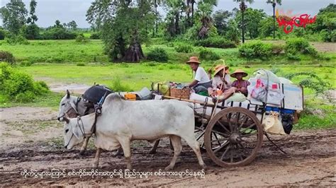 Tlt Tv ပ္ဍဲရးသက်ကိုၚ် အပ္ဍဲသၞာံဏံ ဟိုတ်နူပရေၚ်ပကီုပရာပ်တုဲ ကောန