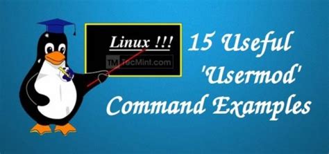 Shell Scripting Linux Shell And Basic Shell Scripting Language Tips