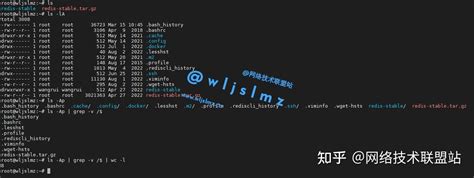 linux 中某个目录中的文件数如何查看？这篇教程分分钟教会你！ 知乎