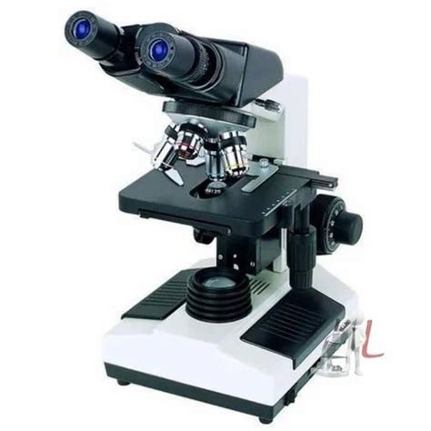 Phase Contrast Inverted Microscope At Rs 70000 Inverted Microscope