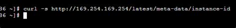 Linux Could Not Get Instance Id In Ec2 Console Stack Overflow