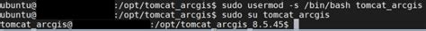 Monthly Linux Tip Setting Up Tomcat In An Esri AWS AMI