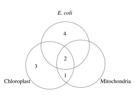 Create A Venn Diagram Comparing Osmosis And Diffusion