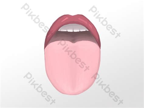 손으로 그린 인간의 장기 입과 혀 그림 일러스트 Png Psd 무료 다운로드 Pikbest