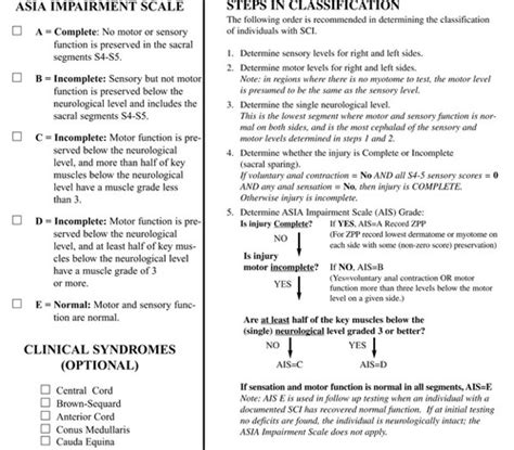 Classification Of Spinal Cord Injuries Flashcards Quizlet