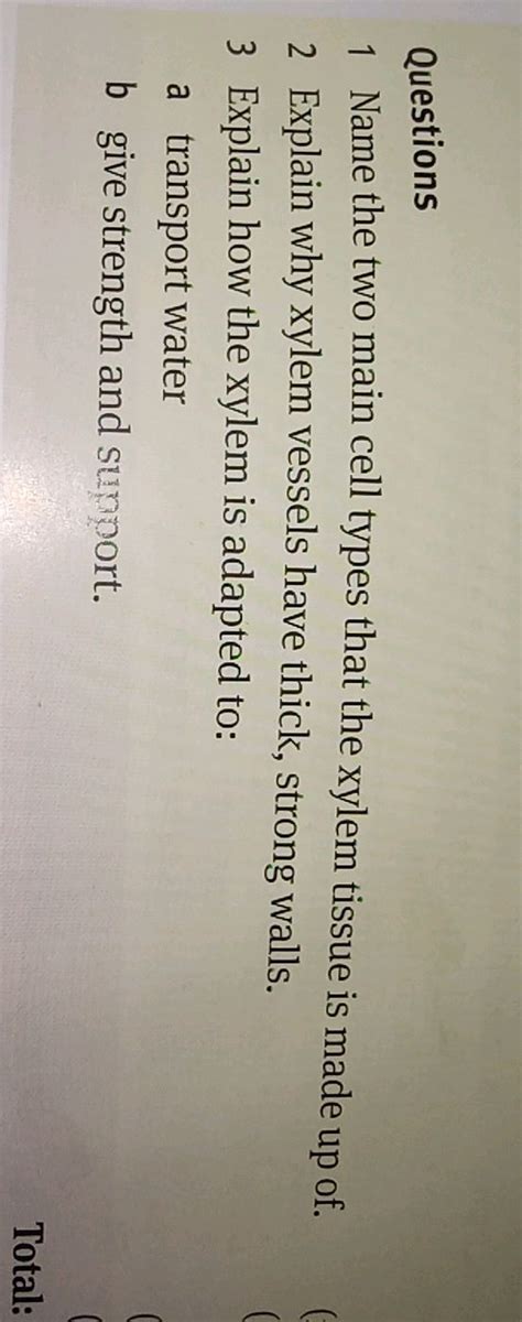 1 Name The Two Main Cell Types That The Studyx