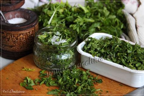 Заготовка петрушки на зиму фото Петрушка Рецепты Ягоды