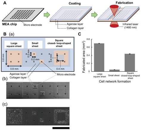 Micromachines Mdpi On Linkedin Micromachines
