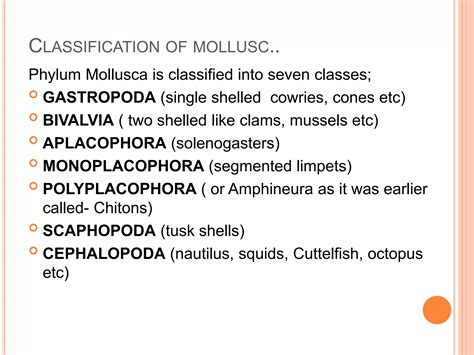 Cephalopod Taxonomy Pptx