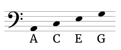 Treble Clef Staff With Note Names The Treble Clef A Beginners Guide