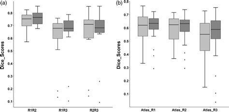 A Boxplot Of Dice Coefficient Scores Amongst Raters B Boxplot Of