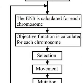 The Proposed Algorithm Flowchart Download Scientific Diagram