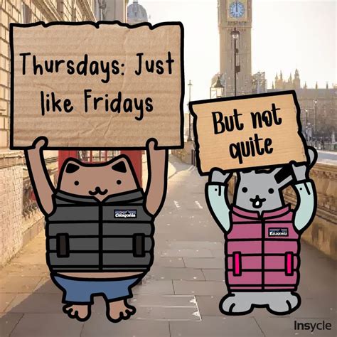 Insycle On Linkedin Crm Datamanagement Revops Automation Crmsolutions