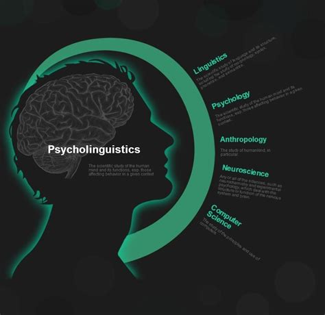 Guide To Psycholinguistics Infographic American Tesol Institutes Lexical Press Blog