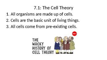 Chapter Cell Structure And Function PowerPoint By ABiologyTeacher