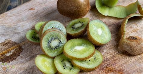 How To Cut A Kiwi Fruit A Simple Guide For Perfect Slices