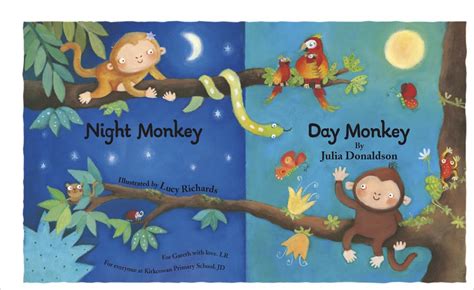 Night Monkey Day Monkey Scholastic Shop