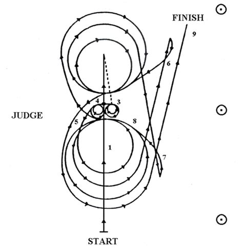 13 Best Reining Patterns Images On Pinterest Show Jumping Barrel