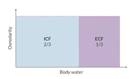 Apex Unit 9 Fluids Electrolytes Acid Base Flashcards Quizlet