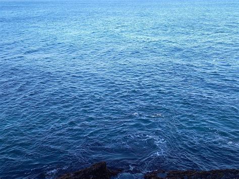 伊豆の地磯へ ガスパールの両軸遠投カゴ釣り日記