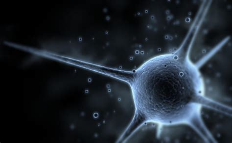 We Just Created An Artificial Synapse That Can Learn Autonomously
