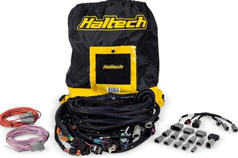 Long Awaited Haltech Introduces Ls Terminated Engine Harness