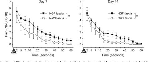 Figure 4 From Ngf Evoked Sensitization Of Muscle Fascia Nociceptors In Humans Semantic Scholar