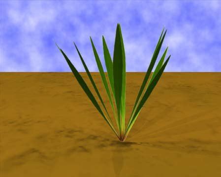 The Bitmap A Final Render Of My Scene With A Simple Plant Download Scientific Diagram