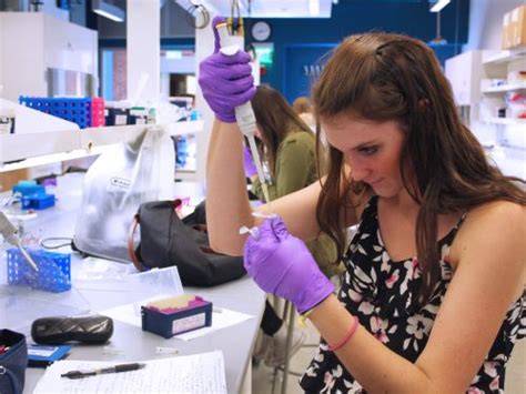 Summer At Hopkins Johns Hopkins University
