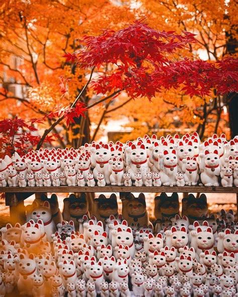 Gotokuji Temple The Unique Cat Shrine In Tokyo Artofit